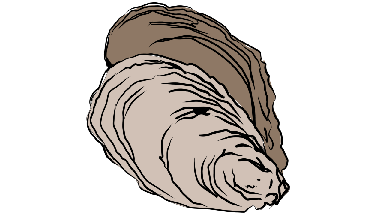 Film om fiskeri - bliv klogere på Danmark som førende fiskerination